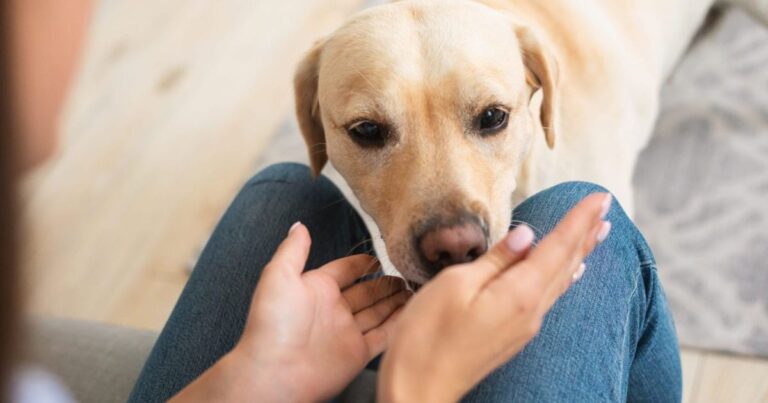 What Does Cancer Smell Like: Can Your Nose Detect It? - Aspire Alive